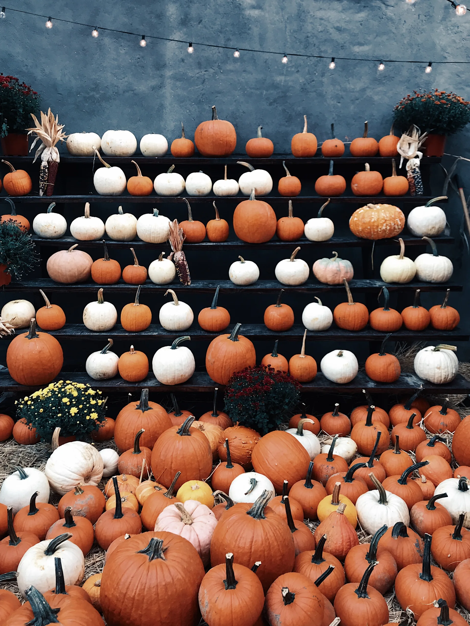 What Does Fall Mean In Astrology What Does Fall Mean In Astrology